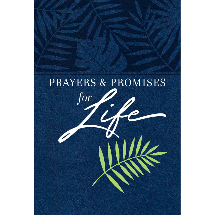 Prayers & Promises For Life (Imitation Leather) – Christian Art ...